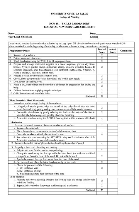Essential Nb Care Checklist 2020 University Of St La Salle College
