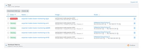 Rancher Monitoring `exporter Node Cluster Monitoring` Cannot Be