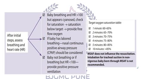 Neonatal Resuscitation Protocol Of Pediatricpptx
