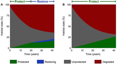 Allocation Schedules For Rainforest Biodiversity Download