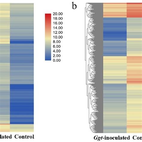 Hierarchical Clustering Analysis Of Degs A Hierarchical Clustering