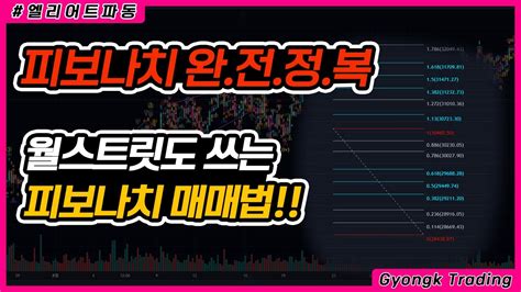 월가도 쓰는 피보나치 매매법 엘리어트 파동이론 비트코인 차트분석 엘리어트파동 Youtube