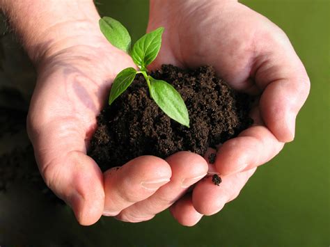 Exploring Soil Texture