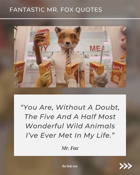 Fantastic Mr Fox Quotes