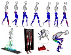 Simtk Opensim Utilities Project Home