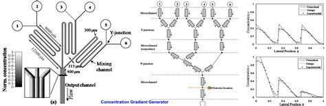 system level modeling openscholar