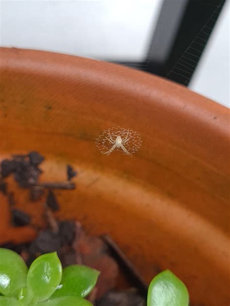 Best Nsw Aus Images On Pholder Australia Earth Porn And Spiders