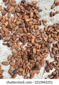 Cacao Beans After Fermentation Process Raw Stock Photo Shutterstock