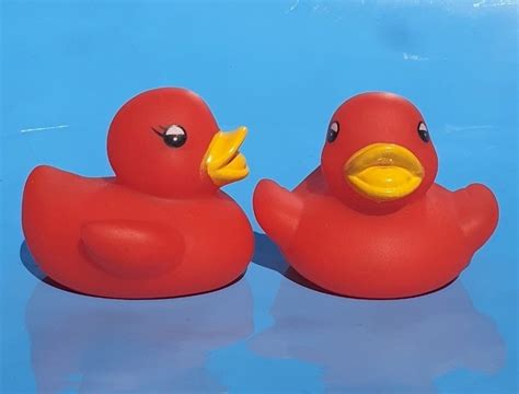 Duckybag Mini Eendjes Kleur 9 Stuks