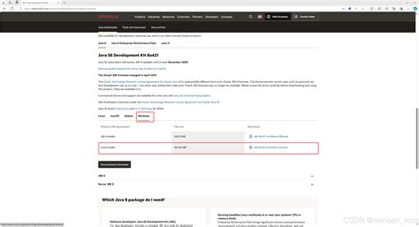 Java安装与环境配置以及使用全程详细教学(包含windows和mac版) Csdn博客 Java安装与环境配置以及使用全程详细教学(包含windows和mac版) Csdn博客