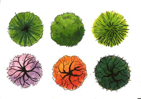 Tree Draw Top Pesquisa Google Tree Plan Photoshop Tree Plan