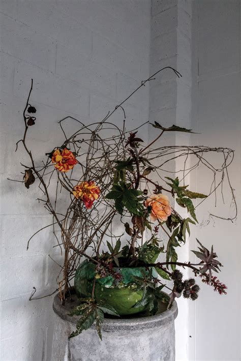 Louesa Roebucks Foraged Florals Are Pure Art Frederic Magazine
