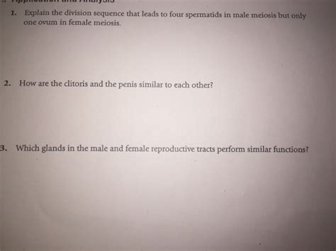 Solved Explain The Division Sequence That Leads To Four