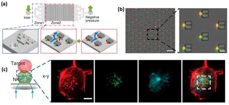 Material Engineering Unit Cell