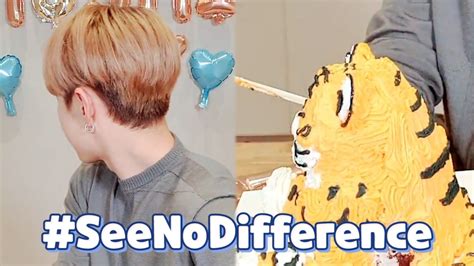 [seventeen] Happy Hoshi Day 🐯🎁