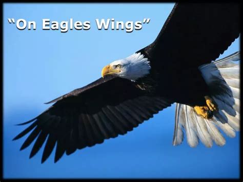 Ppt On Eagles Wings” Powerpoint Presentation Free Download Id2647954
