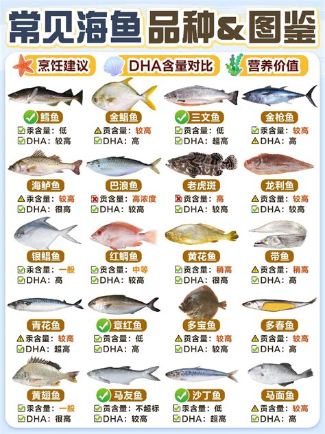 菜市场常见鱼类有哪些 抖音