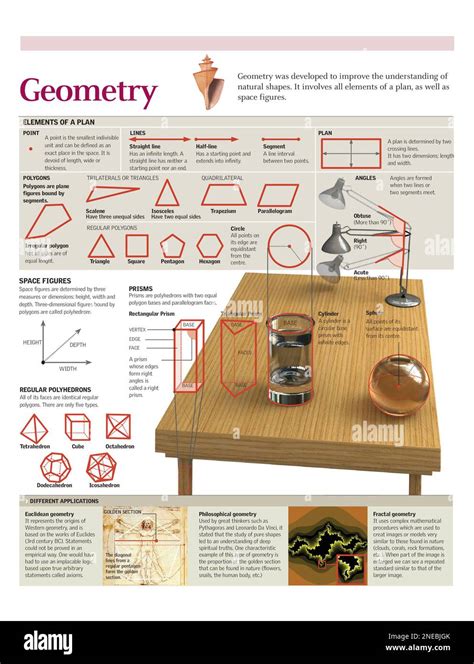 Infographics Of The Main Elements Of Geometry The Elements Of Plane And Figures In Space