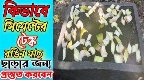 সিমেন্টের টেঙ্ককে কিভাবে রঙিন মাছ ছাড়ার জন্য প্রস্তুত করবেন Youtube