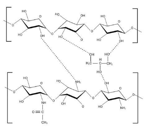 Interaction Between Bacterial Cellulose Chitosan And Glycerol Download Scientific Diagram