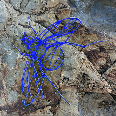 Sam Gowing Buzzing Beneficiaries Swell Sculpture Festival