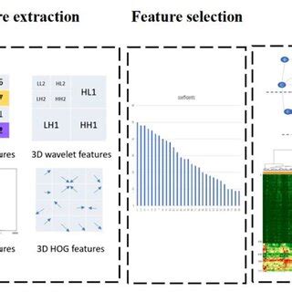 MRI Based Radiomics Signature And Survival After Classification A