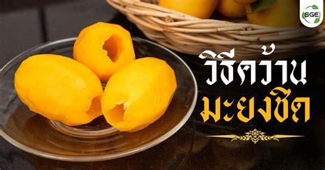 ทำความรู้จัก นัตโตะ ทานยังไงให้อร่อย ประโยชน์เยอะจริงไหม