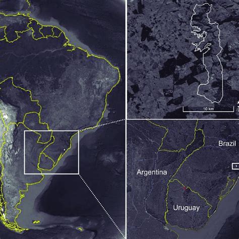 Dsrc On Board Unit Obu Gps Antenna And Additional Micro Controller