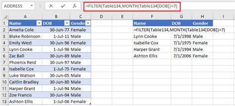 How To Use Filter Formula In Excel With 3 Examples