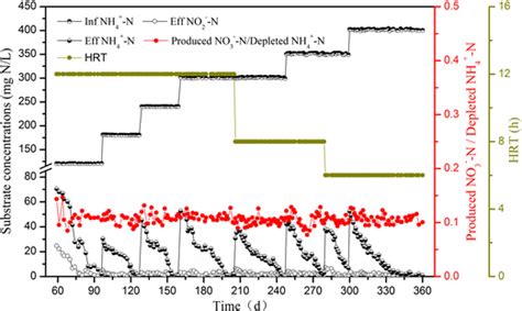 The Variations In Influent And Effluent Concentrations Of Ammonium And