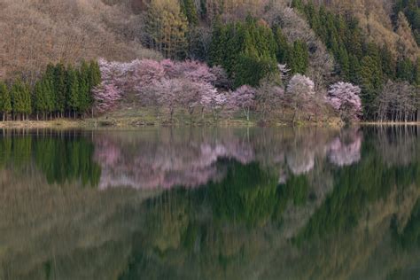 By Id Photohito