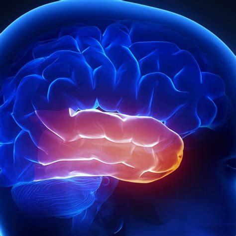 The 7 Different Types Of Vagina Depending On The Shape Of Your Vulva Wellnessbeam