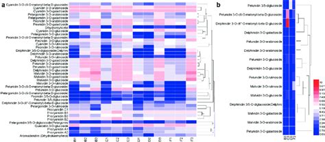 a the hierarchical clustering analysis according to the level of