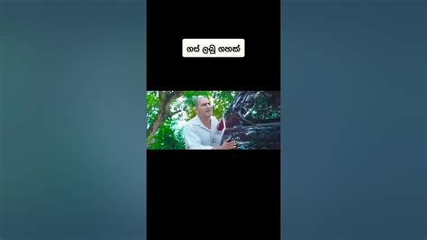 ගස් ලබු ගහක් ගස් ලබු ගහක්😂😂😂 Shorts Youtubeshorts Viral Trending Lakaisikai