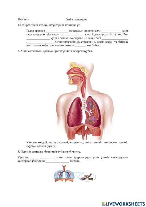 10 р ангийн хийн солилцоо нь даалгавар Online Exercise For Live Worksheets