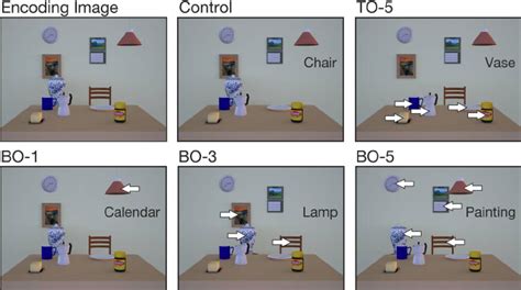 Examples Of Encoding And Test Images For Different Conditions Object Download Scientific
