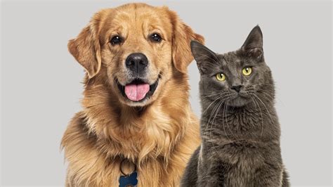 Новини от Живот и Стил