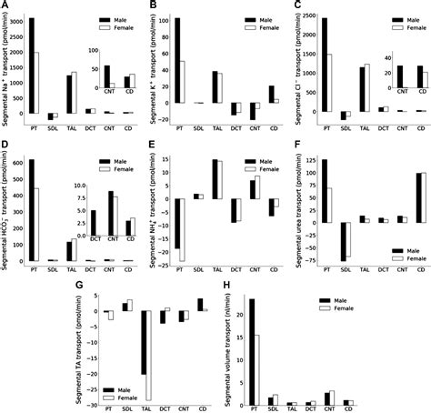 Figure 4 From Sex And Gender In Renal Health And Function Functional Implications Of The Sex