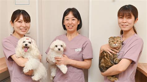 このは動物病院中川駅動物病院｜都筑区jp
