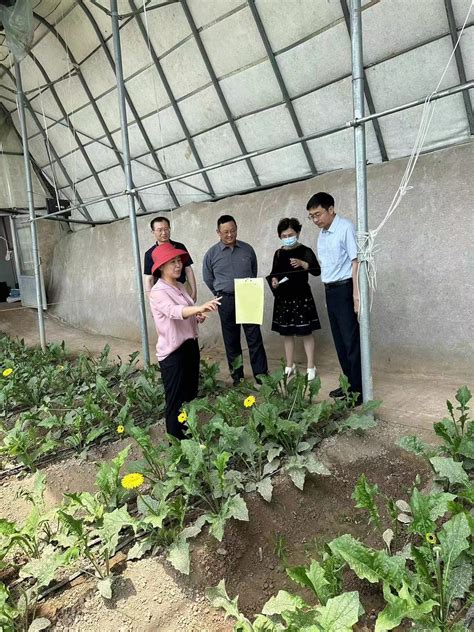 访企拓岗促就业 凝心聚力谋发展 外国语学院赴菏泽百盛万福现代农业产业园访企拓岗 菏泽学院外国语学院
