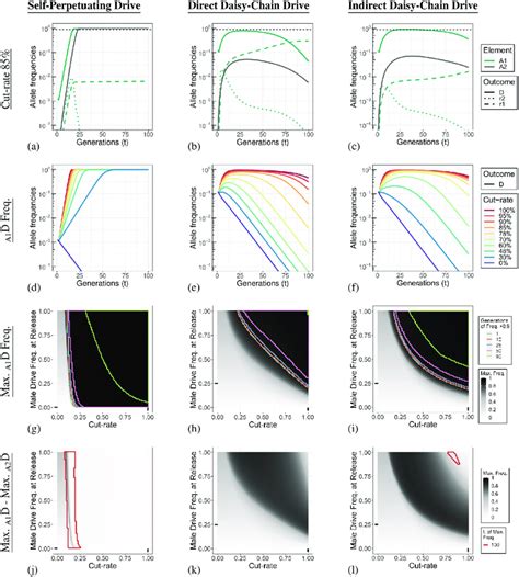 Daisy Chain Gene Drive Element Prematurely Segregate With Reduced Download Scientific Diagram