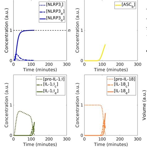 Numerical Simulations Results Of The System Of Odes 231 With