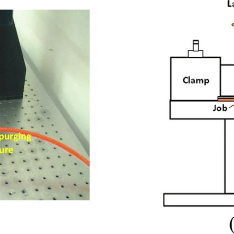 Experimental Set Up A The Snapshot And B Schematic Download Scientific Diagram