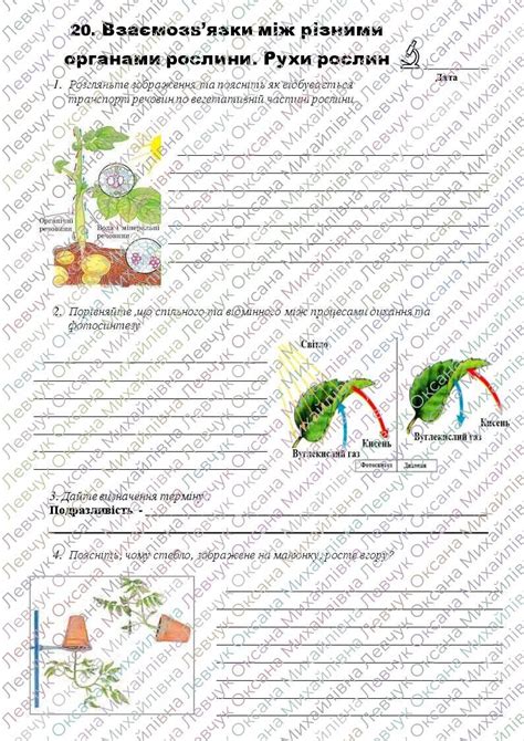 робочий зошит Біологія 7 клас НУШ Інші методичні матеріали Біологія