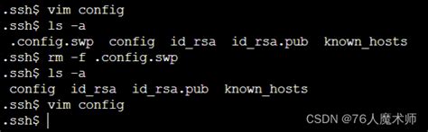 E325 Attentionfound A Swap File By The Namee325 Attention Found A Swap File By The Name Ng