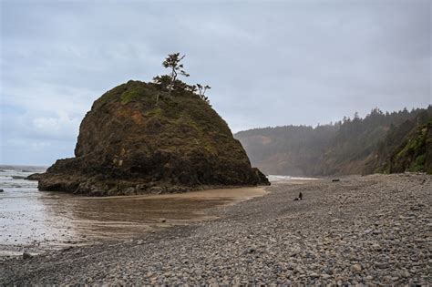 Short Beach Oregon Hike To A Hidden Gem On The Coast Two Outliers