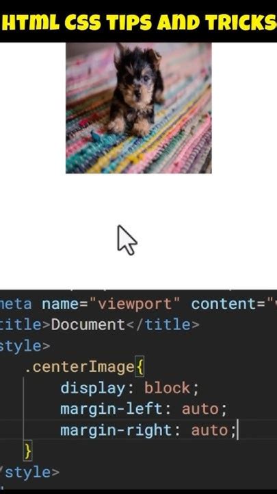 Image Htmlcss Coding Webdesign Header Shorts Webdesign
