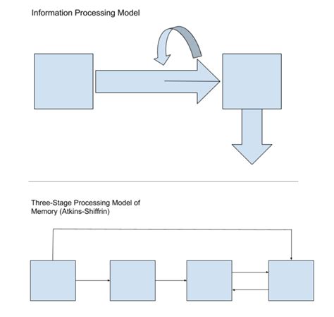 Introduction To Memory Diagram Quizlet