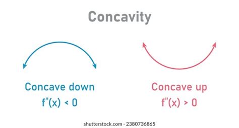 Concave Concave Down Concavity Function Inflection Stock Vector Royalty Free 2380736865