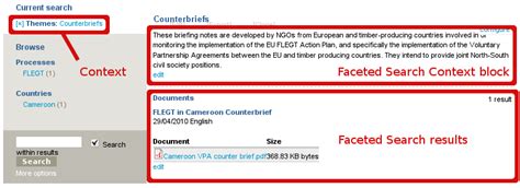Faceted Search Context